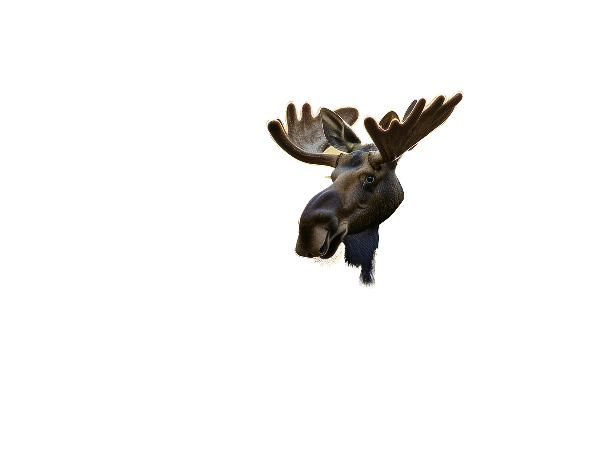 Accueil : Club Panache chasse et pêche Dolbeau-Mistassini et les environs